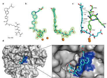 Nat. Commun. 2021 | Czech Infrastructure for Integrative Structural Biology