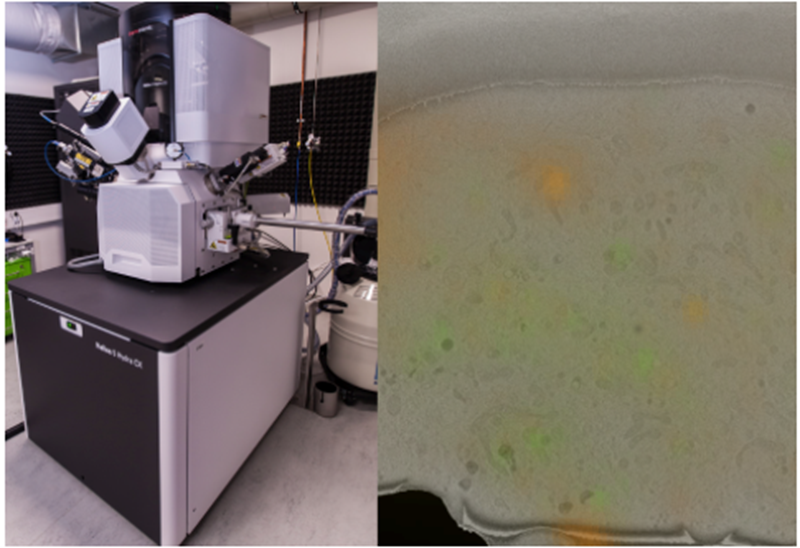 Plasma-FIB/SEM microscope for life-science applications installed at CEITEC | Czech ...